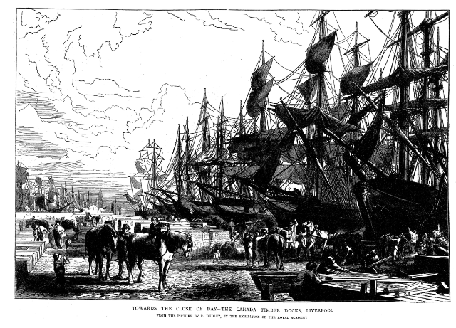 Canada Docks Liverpool, The Graphic 1872